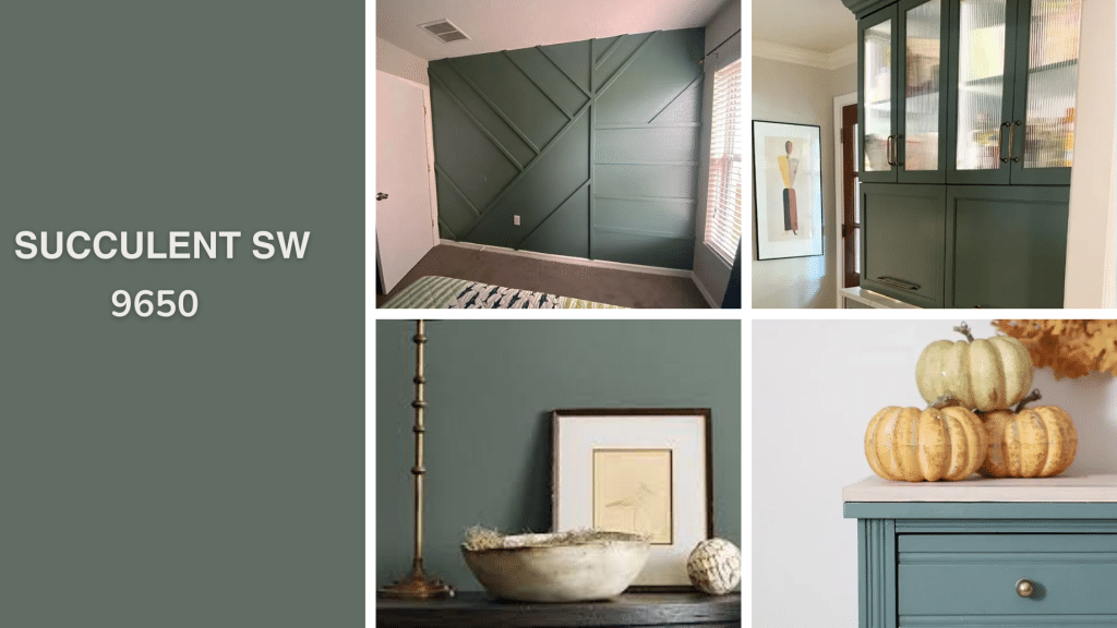 Sherwin-Williams SW Succulent 9650 Green Paint Color - HelpWithDIY