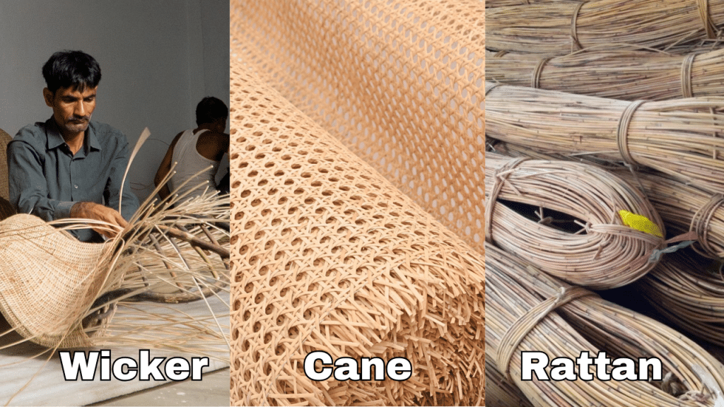 Wicker vs. Rattan vs. Cane: Difference and What to Choose - HelpWithDIY