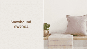 Sherwin Williams Snowbound (SW7004) Color Review - HelpWithDIY