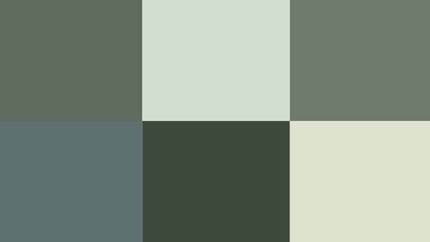 80 Gorgeous Gray-Green Color Names for Your Palette - HelpWithDIY
