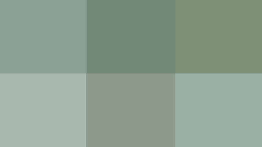 80 Gorgeous Gray-Green Color Names for Your Palette - HelpWithDIY