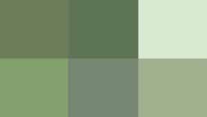 80 Gorgeous Gray-Green Color Names for Your Palette - HelpWithDIY