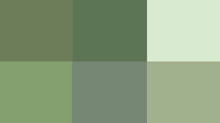 80 Gorgeous Gray-Green Color Names for Your Palette - HelpWithDIY