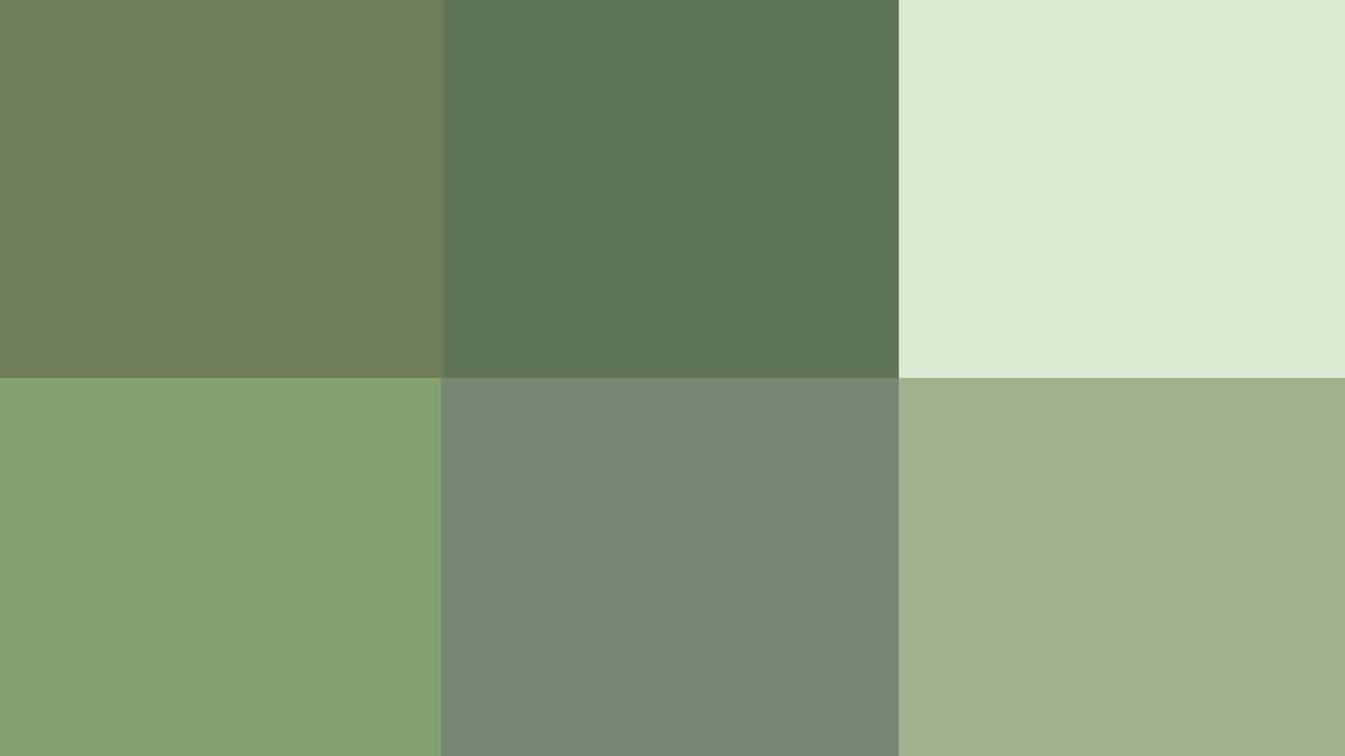 80 Gorgeous Gray-Green Color Names for Your Palette - HelpWithDIY