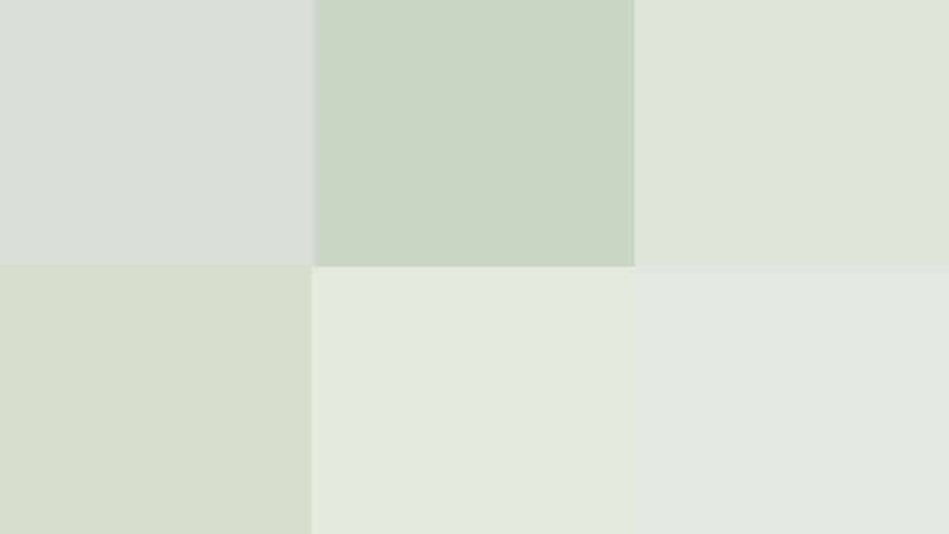 80 Gorgeous Gray-Green Color Names for Your Palette - HelpWithDIY