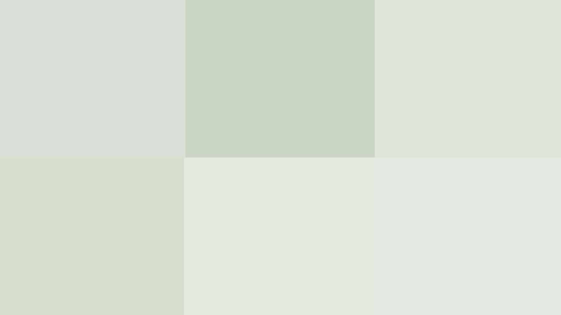 80 Gorgeous Gray-Green Color Names for Your Palette - HelpWithDIY
