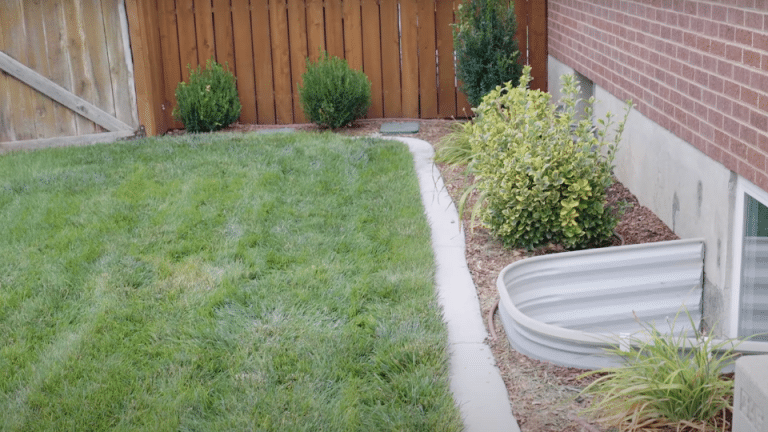 DIY Concrete Edging: Complete Step-by-Step Guide - HelpWithDIY