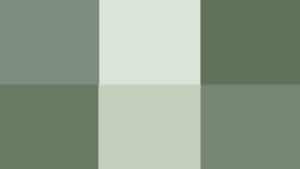 80 Gorgeous Gray-Green Color Names for Your Palette - HelpWithDIY